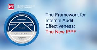 IPPF STANDARDS 2017 - Institute of Internal Auditors (IIA), Nigeria